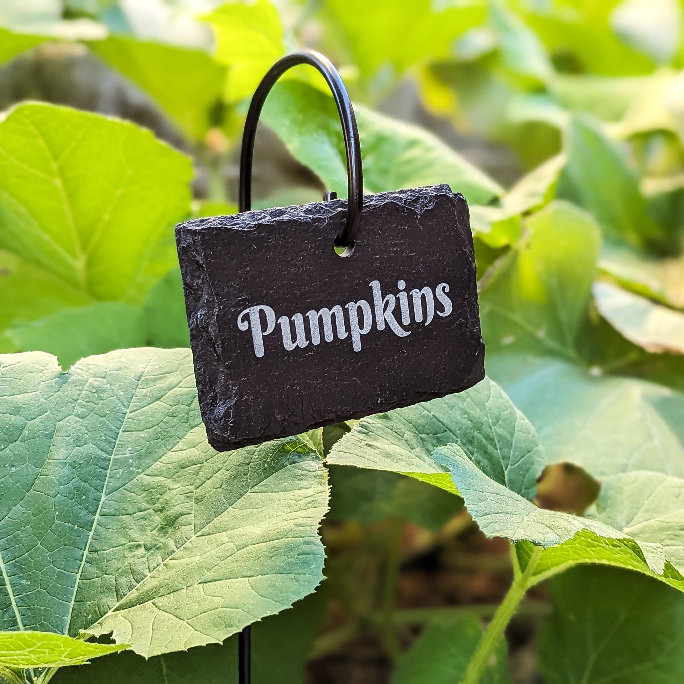 Custom Tall Hanging Plant Label | Slate Sign and Stainless Steel Stake ...