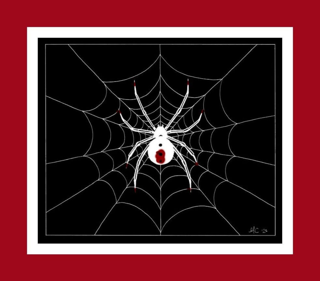 Web of Lies Spell - Etsy