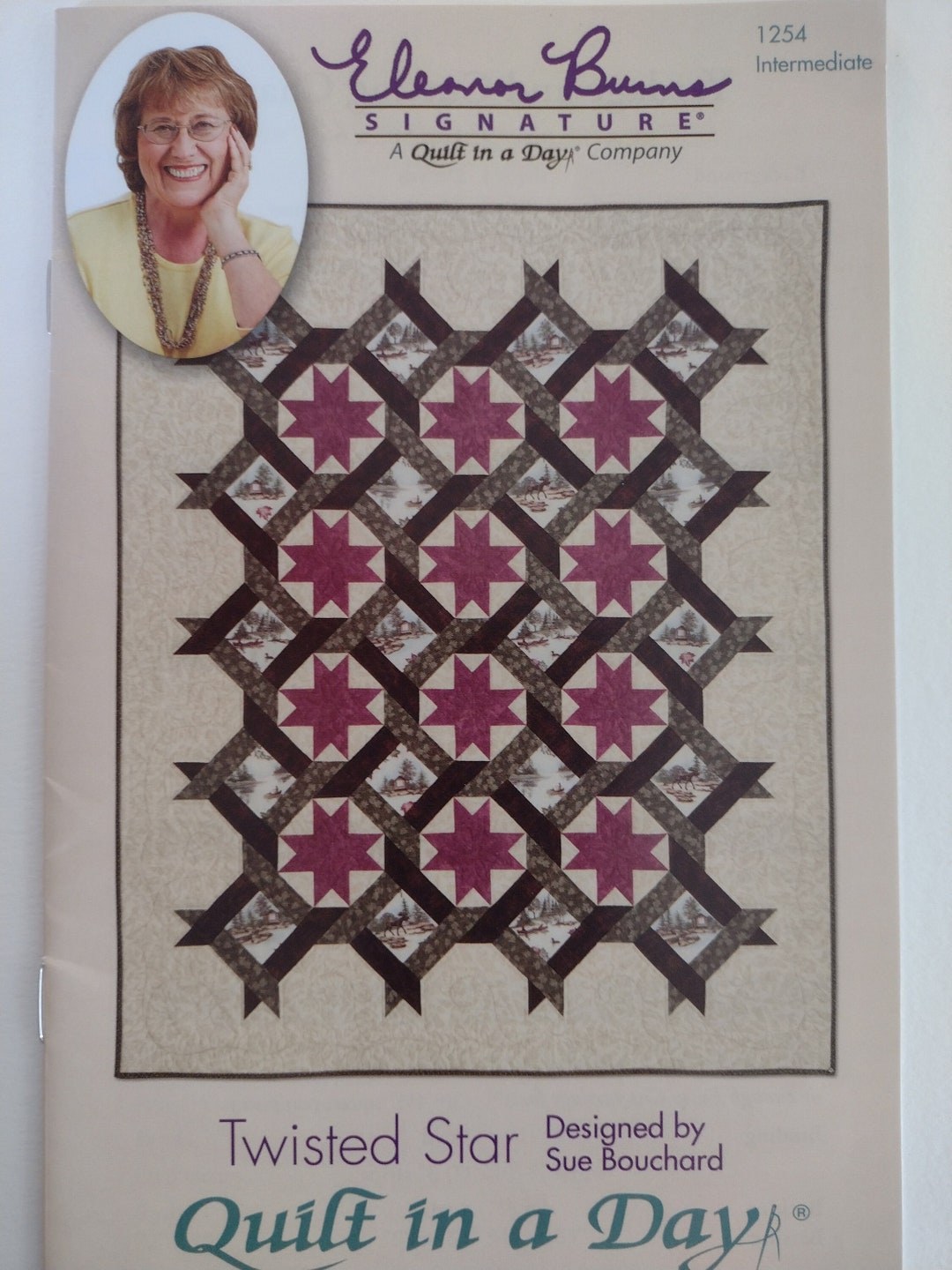 Quilt in a Day Quilting/sewing Pattern to Make a Twisted Star Quilt in ...