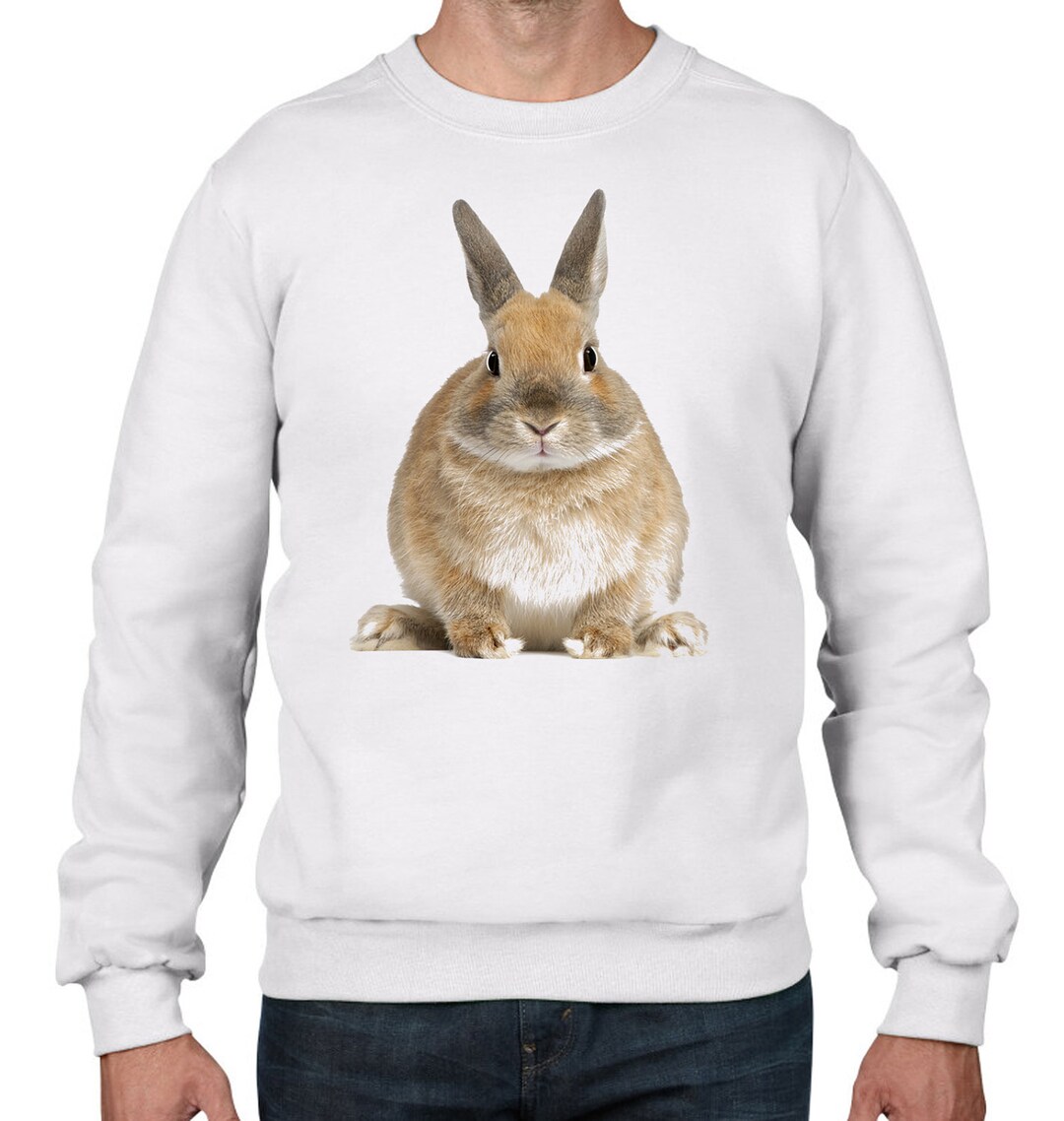 Rabbit Men's Sweatshirt Jumper - Bunny Rabbits Cute Rabbit Pets Animal ...