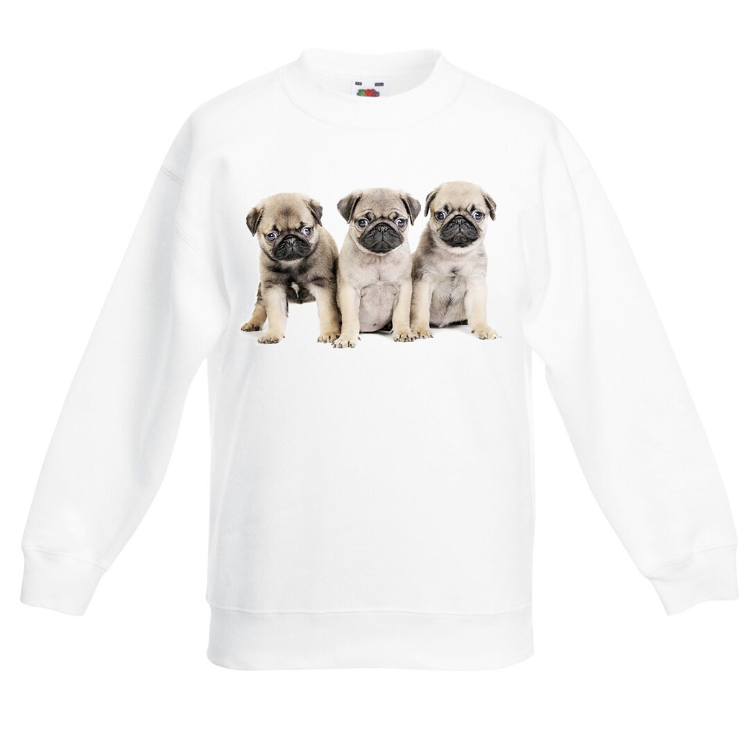 Pug Puppies Unisex Kids Childrens Jumper Sweatshirt - Pug Dog Cute Pugs ...
