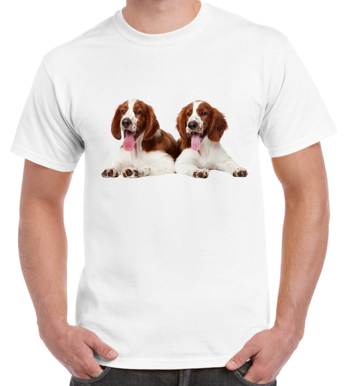 Welsh Springer Spaniel Men's T Shirt - Etsy