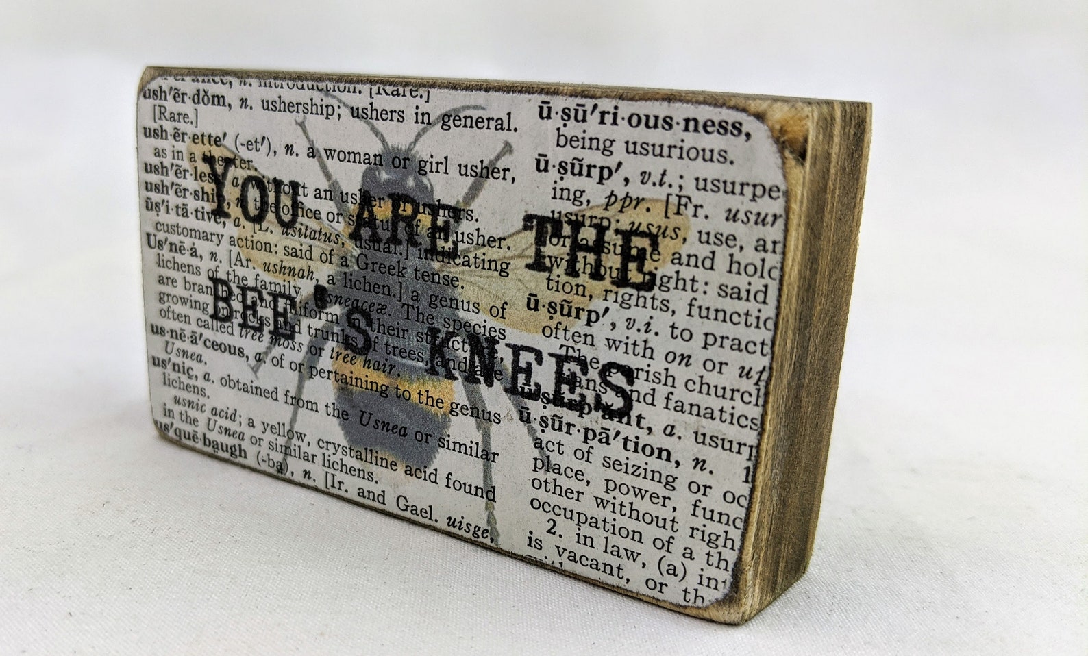 Bumblebee Magnet, Magnet for Office, Dorm Room Magnet, Wooden ...