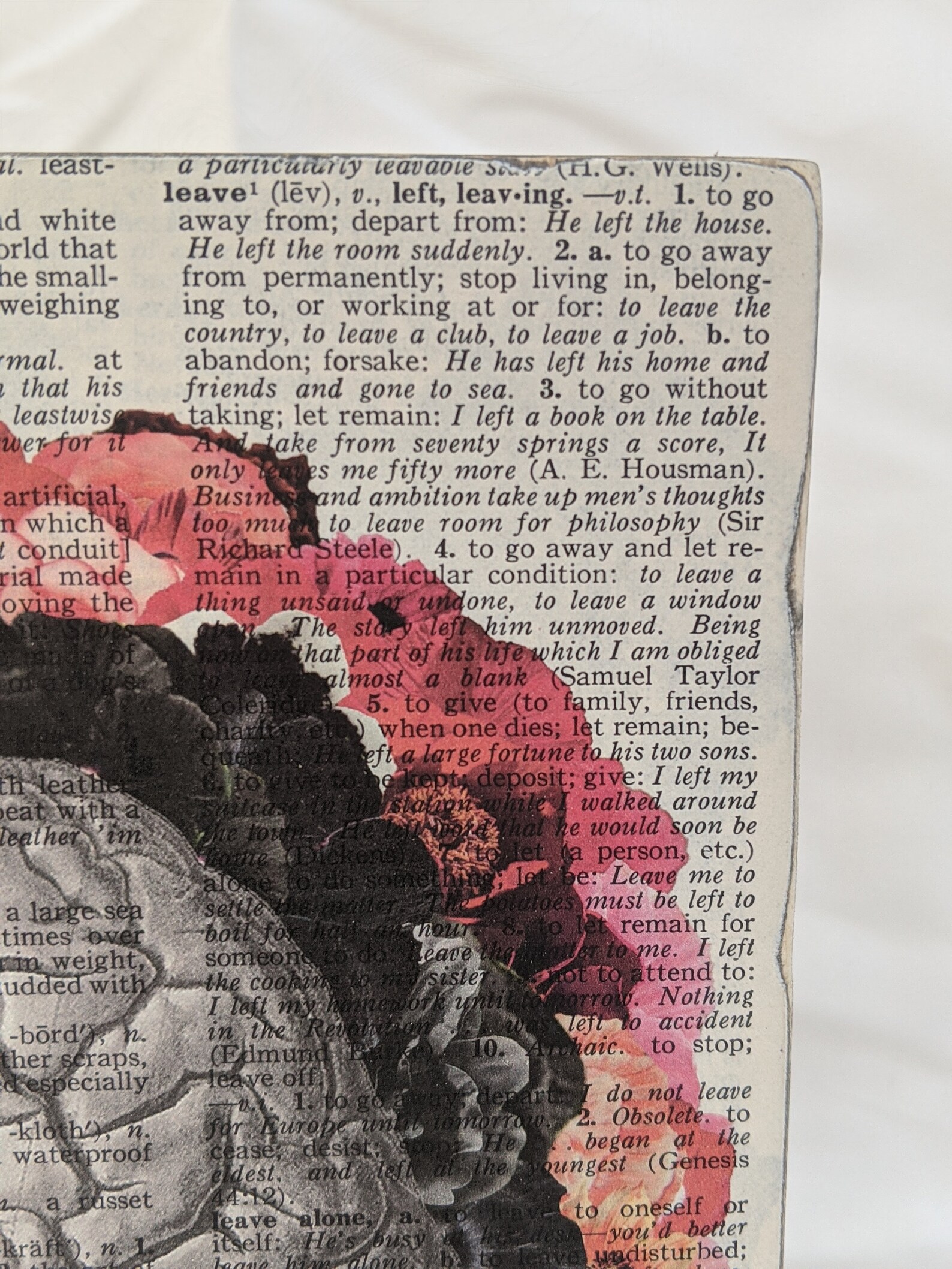 Anatomical Brain Art Art for Dorm Room Gothic Home Decor - Etsy