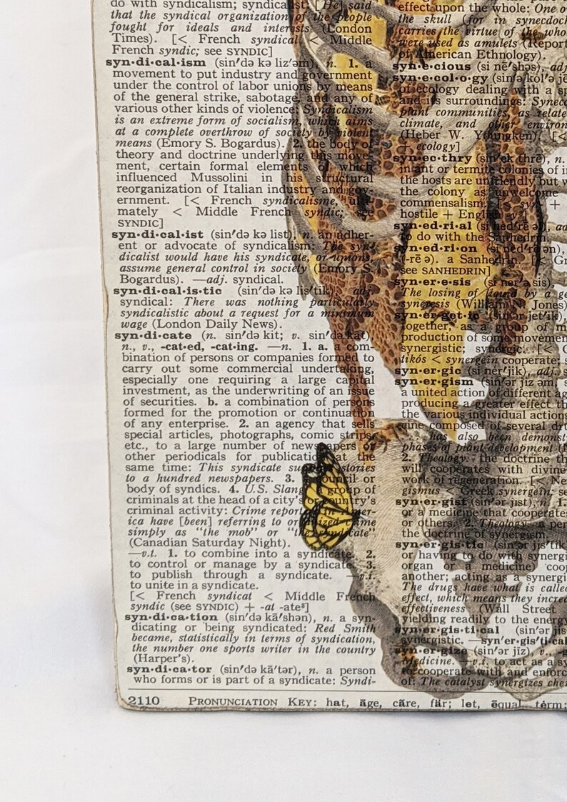 Rib Cage Art Print Art for Dorm Room Gothic Home Decor Goth - Etsy