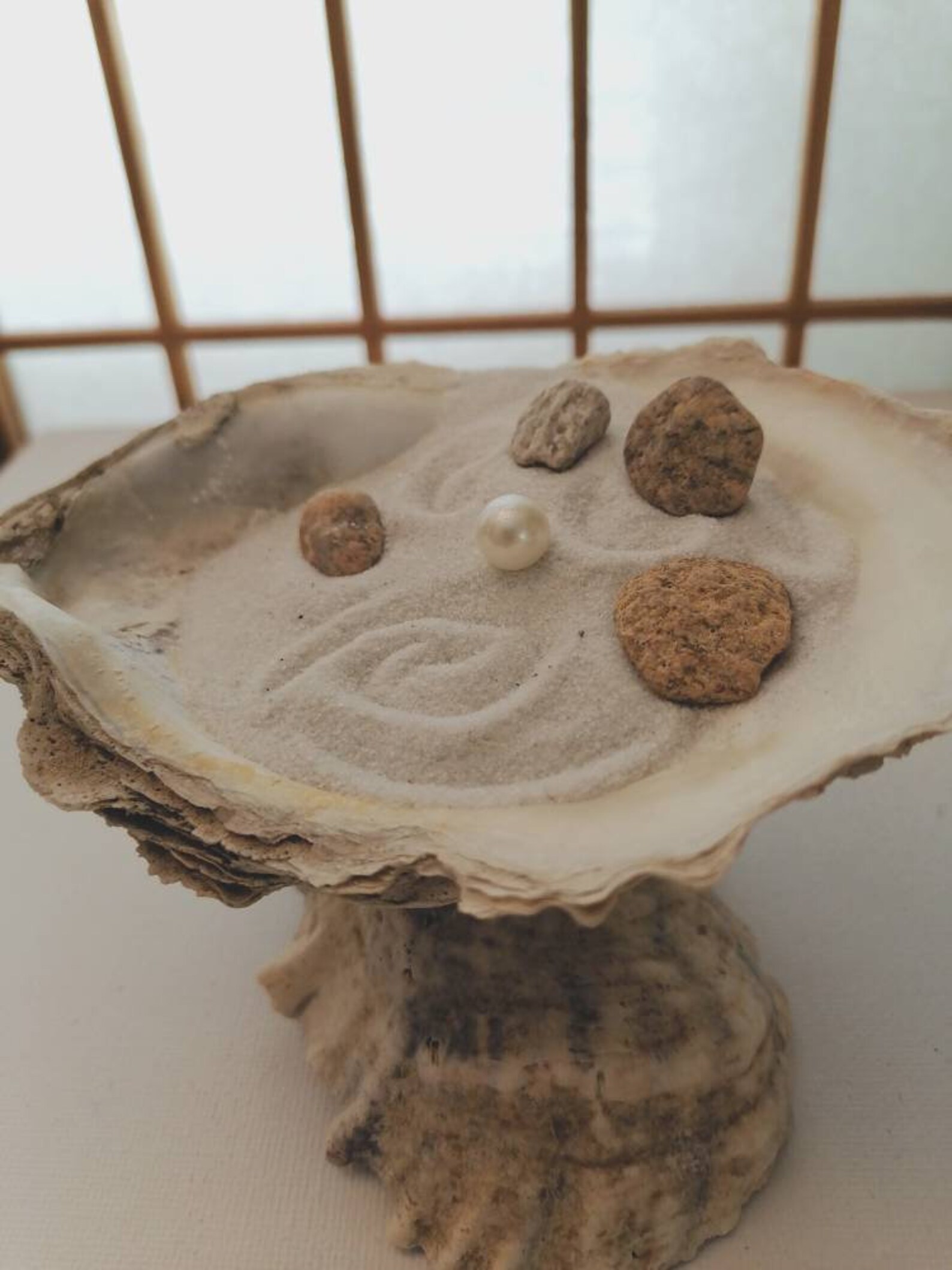 Natural Extra Large Oyster Shell Mini Zen Garden | Etsy