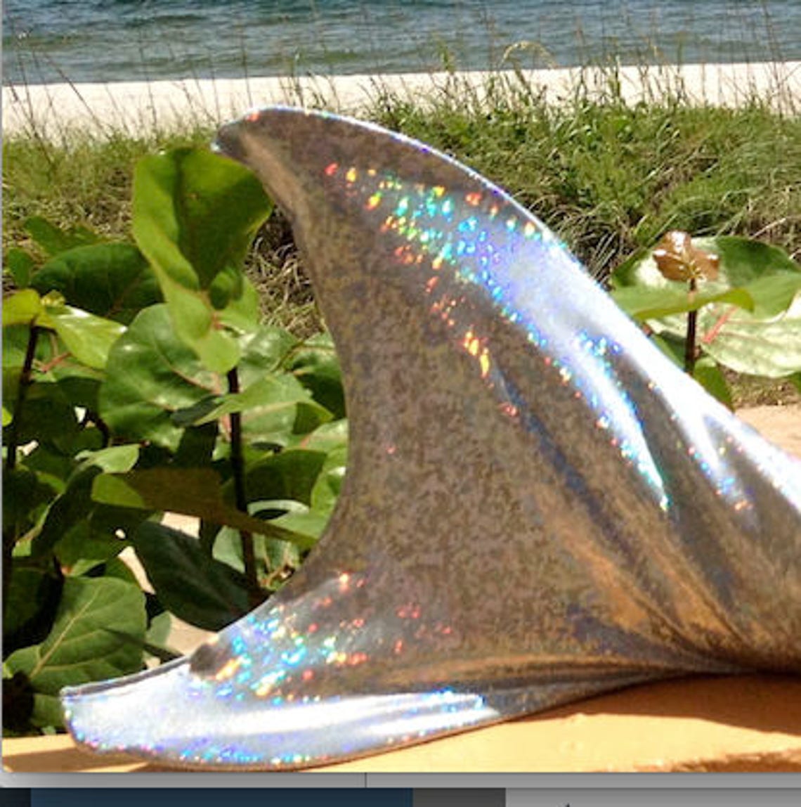 Mono-fin for All Sizes of Feet Fits Perfectly in Any of Our - Etsy