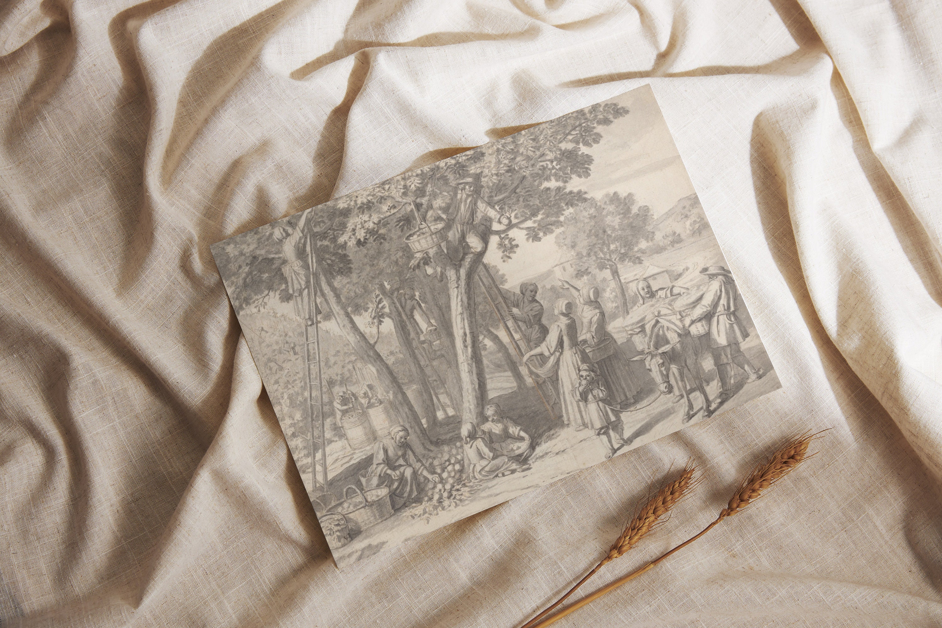 Apple Harvest Vintage Printable Line Drawing, Cottagecore Pencil ...