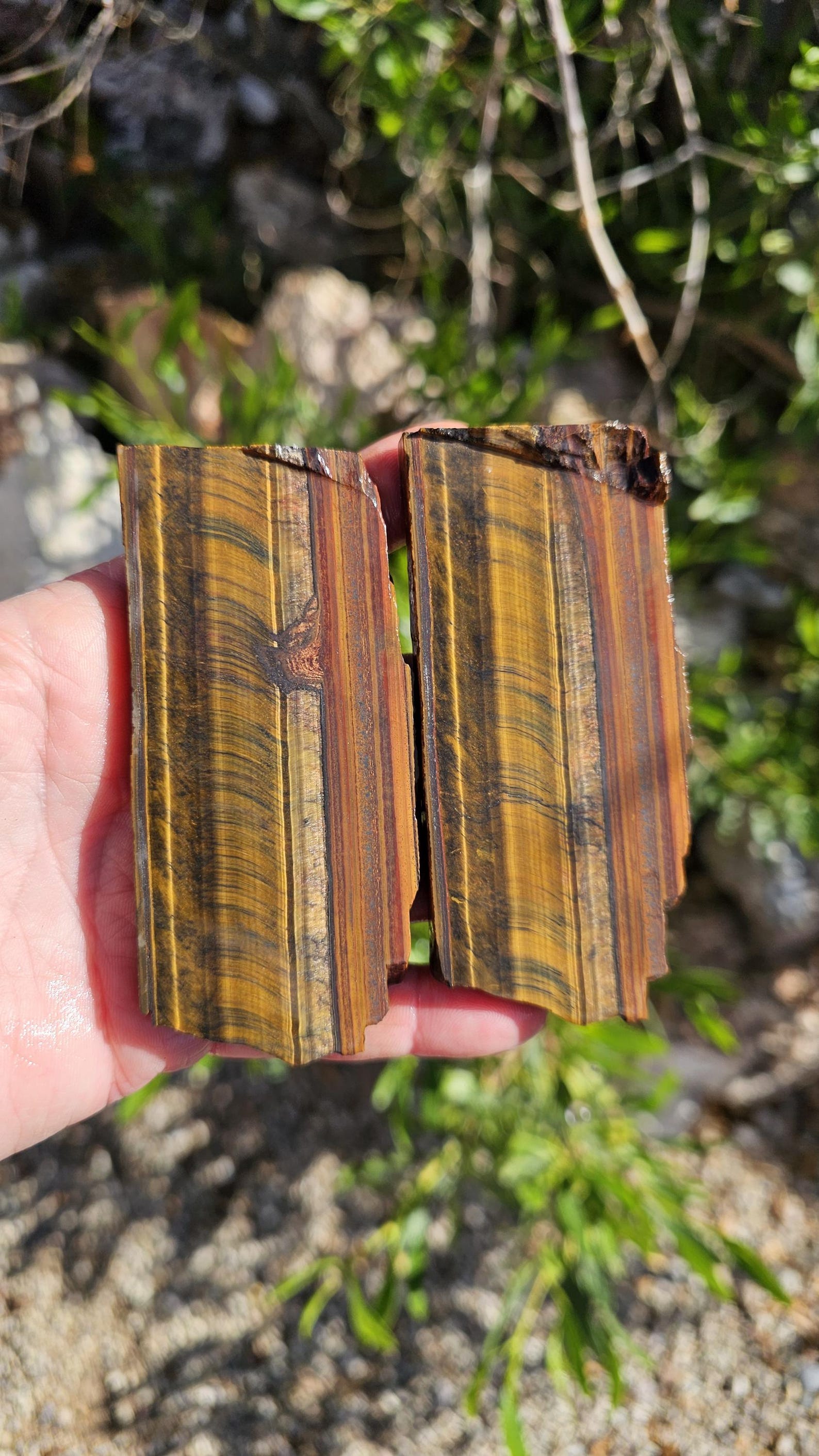 Tiger Iron Slabs, Set of Two, 2 Slabs of Tiger Iron SL-20 - Etsy