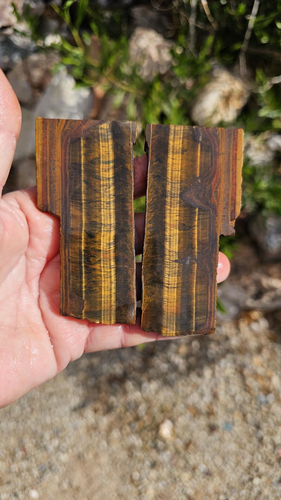 Thick Tiger Iron Slabs, Set of Two, 2 Slabs of Tiger Iron, Set of Slabs ...