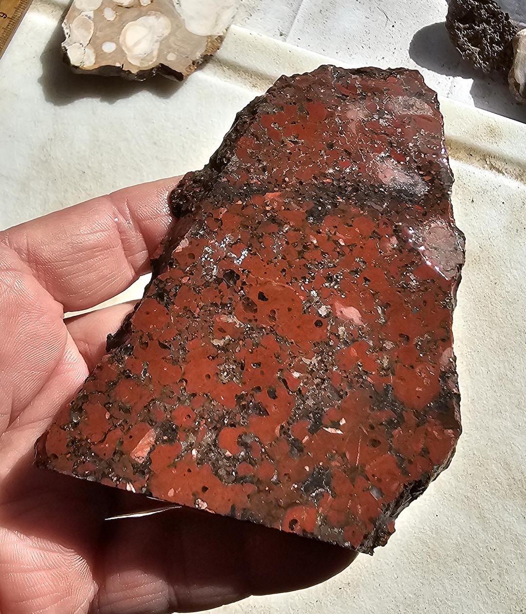 Big Thick Slab of High Grade Campbellite With Tons of Copper Box # 206 ...