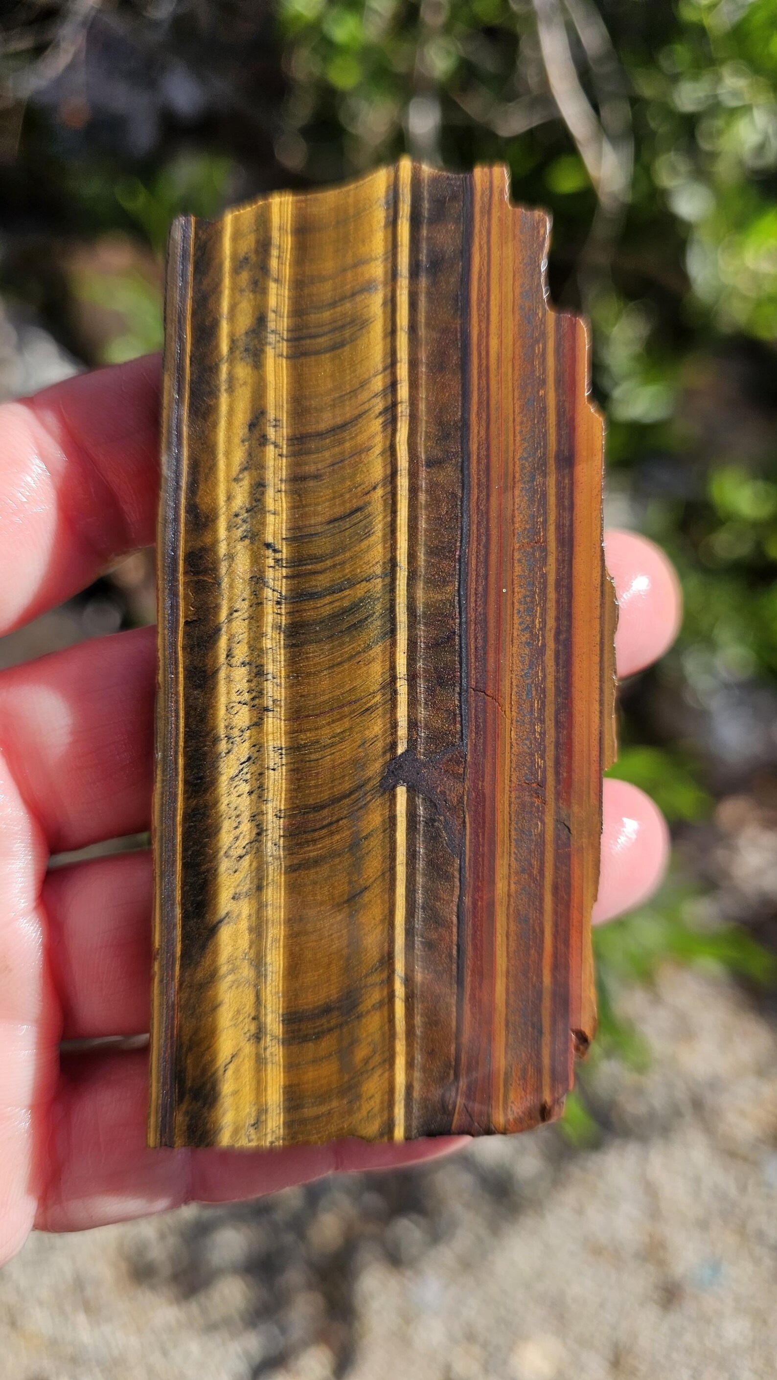 Tiger Iron Slabs, Set of Two, 2 Slabs of Tiger Iron SL-20 - Etsy