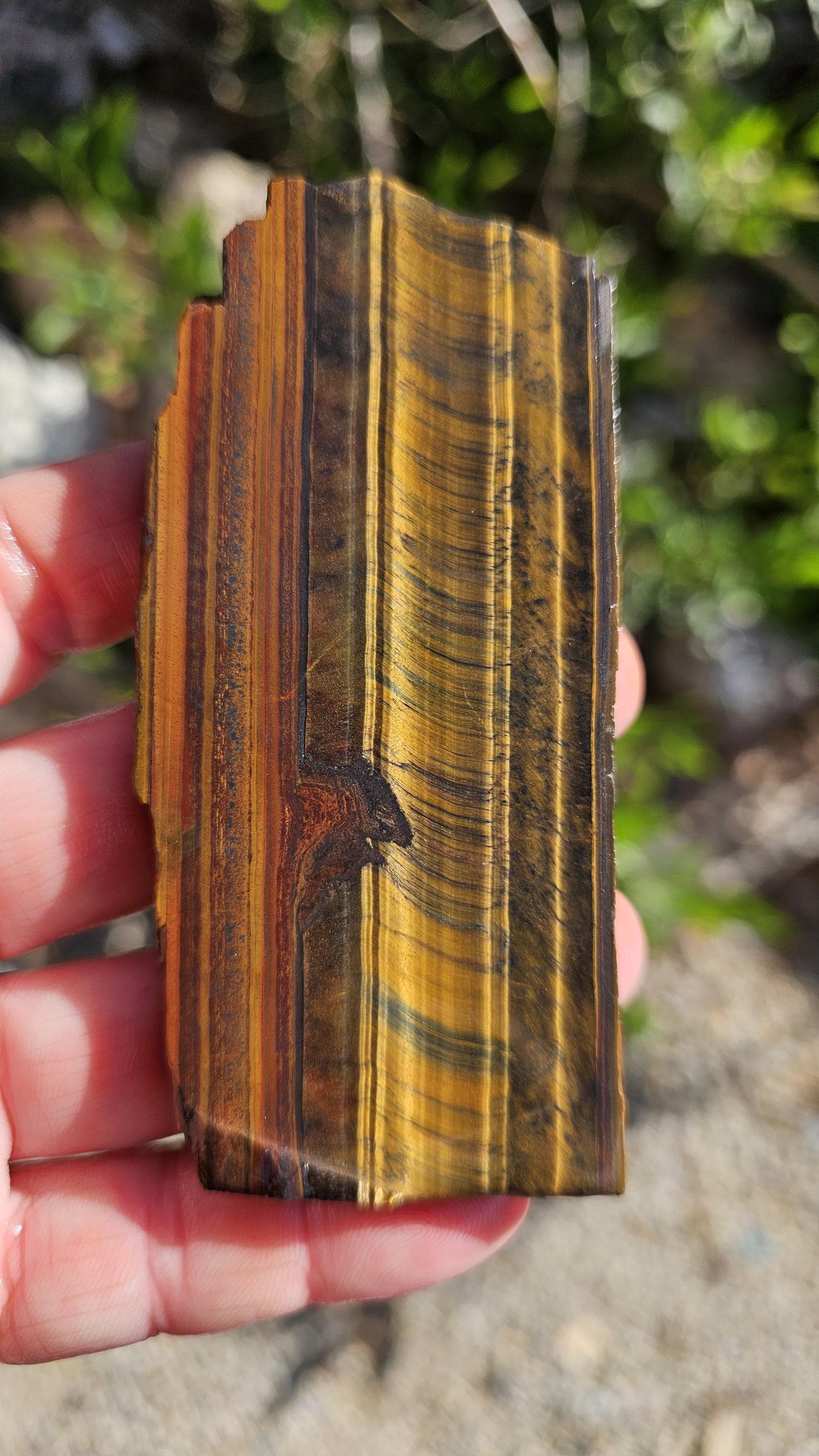 Tiger Iron Slabs, Set of Two, 2 Slabs of Tiger Iron SL-20 - Etsy