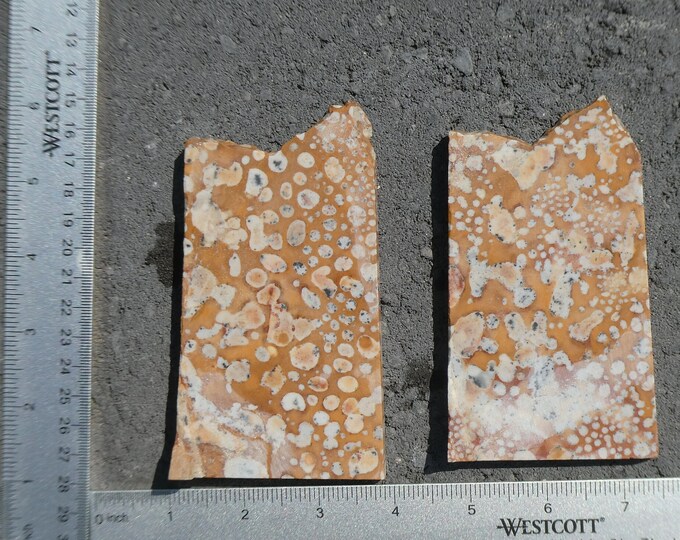 2 Slabs of Fawn Stone or Bambi Stone Box #170 - Etsy
