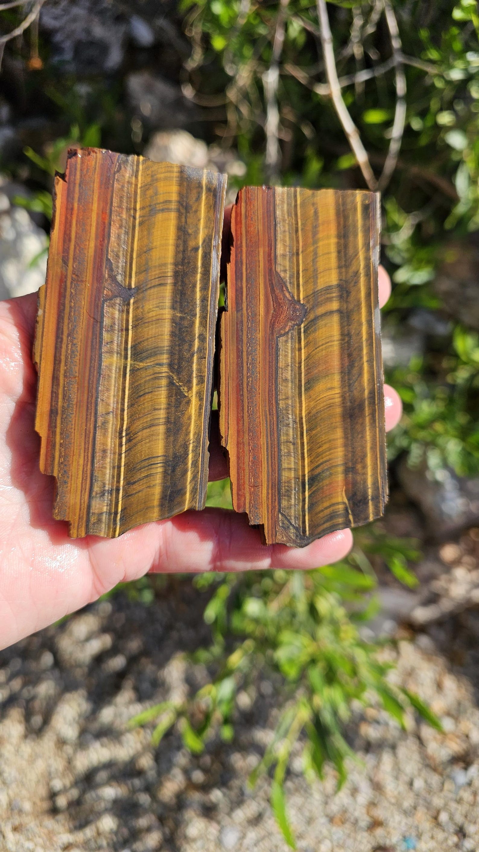 Tiger Iron Slabs, Set of Two, 2 Slabs of Tiger Iron SL-20 - Etsy