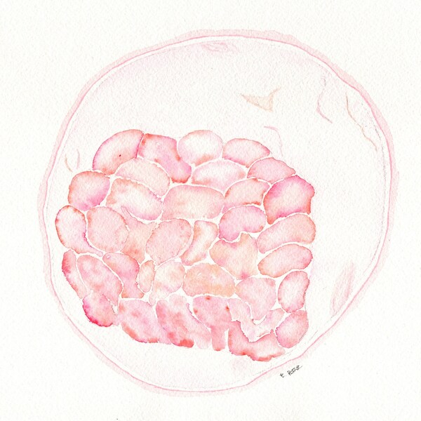 Embryo Painting - Etsy Canada