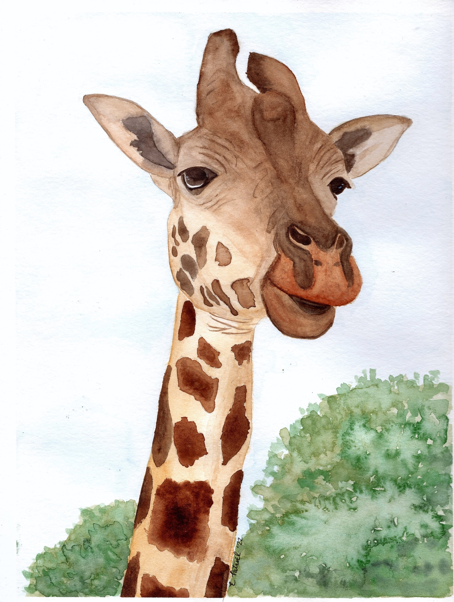 Giraffe Watercolor Painting - Etsy