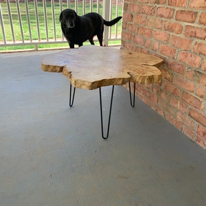 Figured Flaming Box Elder Slice Table - Black Hairpin Legs - Etsy