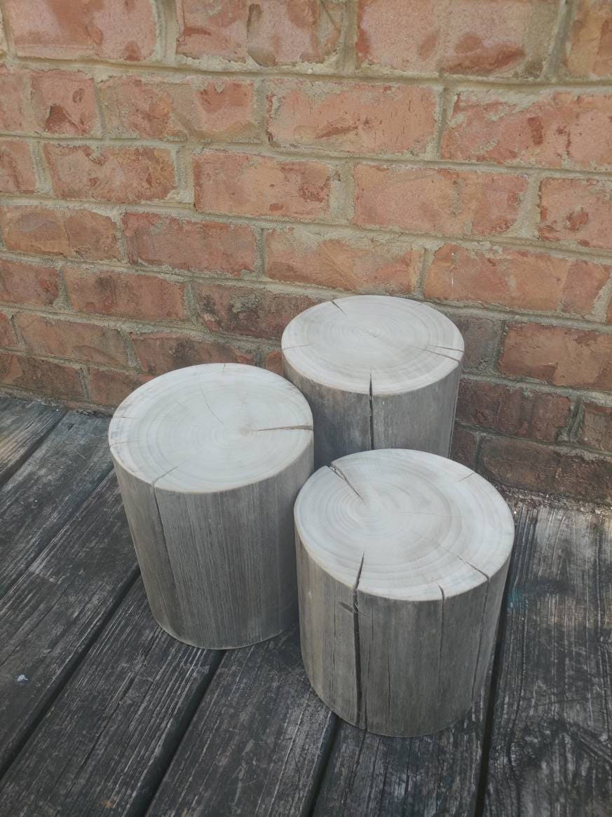 Gray Stump Trio Arrangement - Etsy Canada