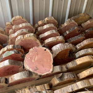 Cedar Wood Slices Odd Unique Shapes 8-11" Diameter X 1.5" Thick - Etsy