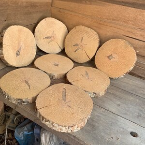 Eight Yummy Pine Wood Cookies - Etsy
