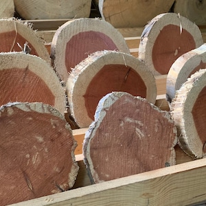 Smaller Cedar Wood Slices Odd Unique Shapes 6-8" Diameter X 1.5" Thick ...