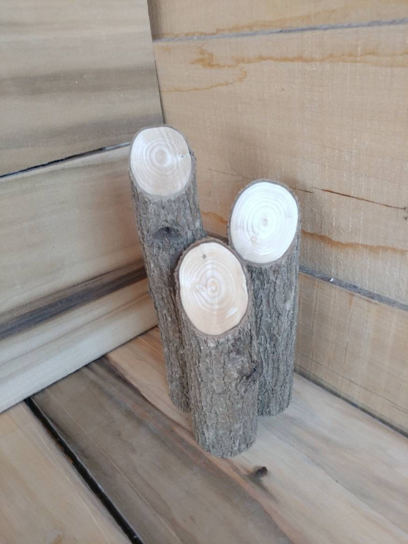 Tree Branch Trio Shelf Decor - Etsy