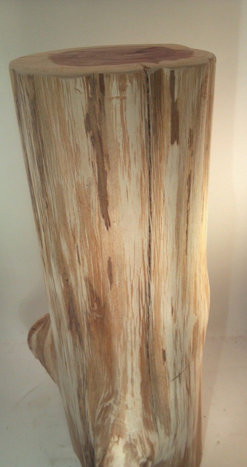 Rustic Red Cedar Stump End Table Plant Stand Photo Prop 9-11" Wide ...