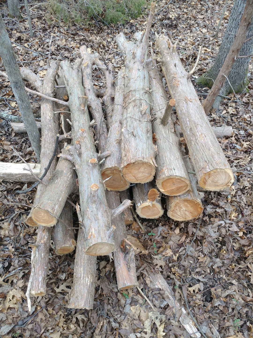 Eastern Red Cedar Log Pieces - Craft Projects, Bed Rails, Table Legs ...