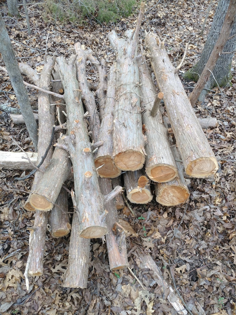 Eastern Red Cedar Log Craft Projects Bed Rails Table Legs - Etsy
