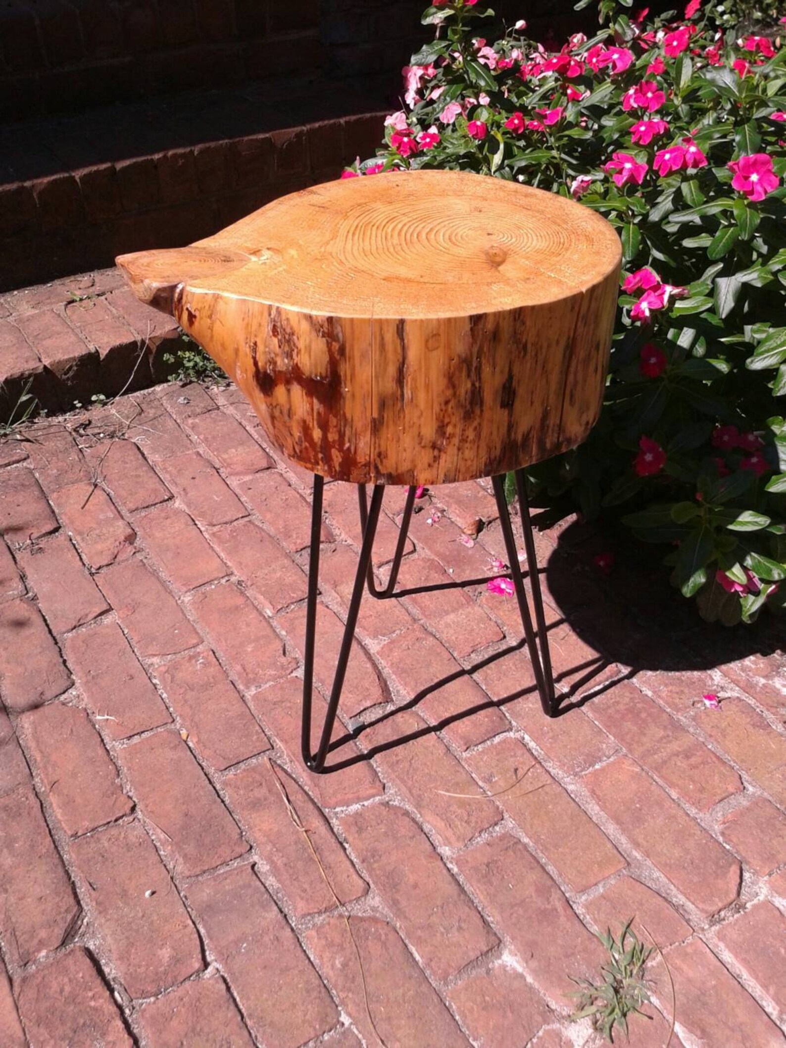 Thick Chunky Pine Cookie Live Edge Side Corner Table on Black - Etsy