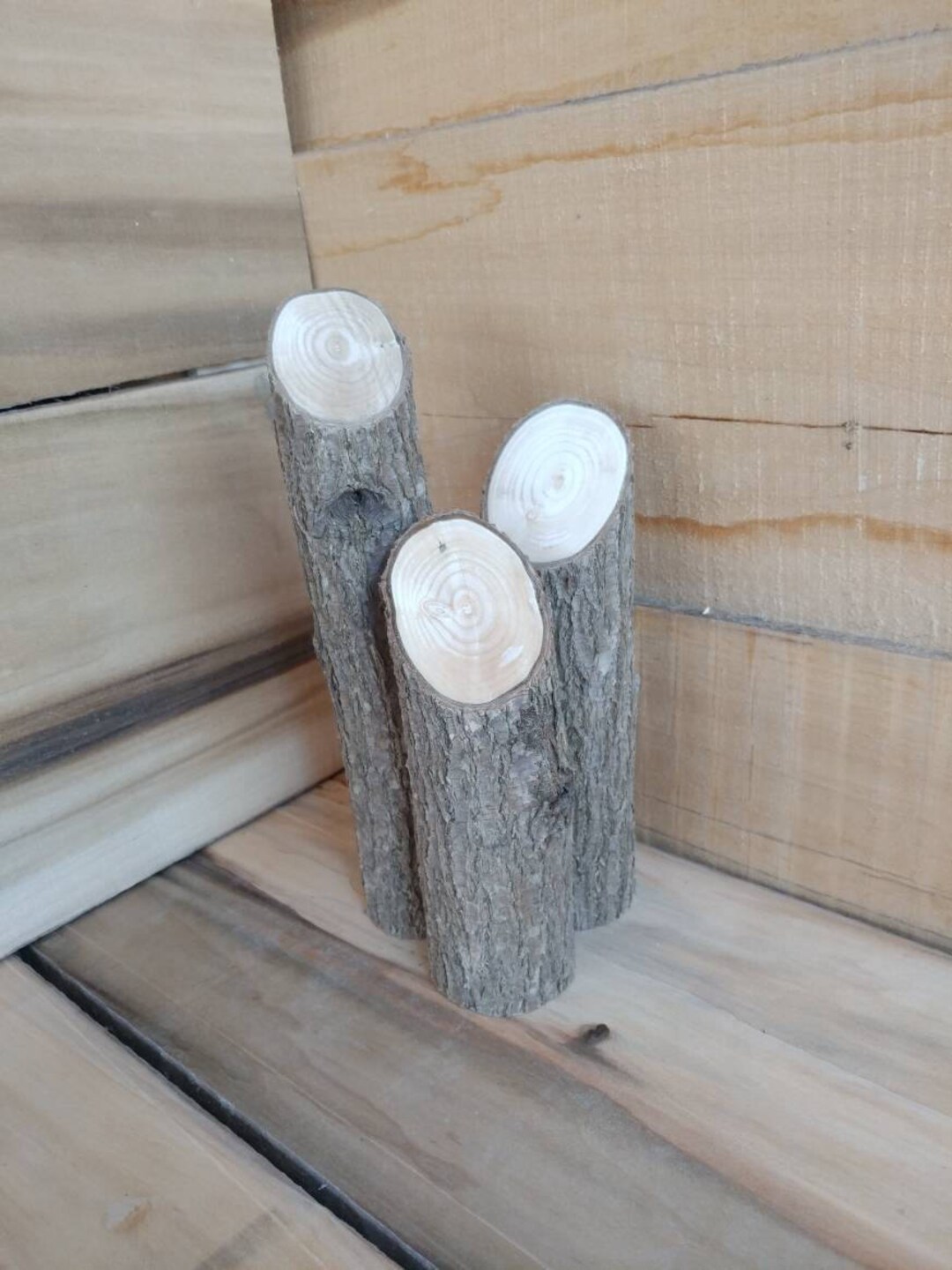 Tree Branch Trio Shelf Decor - Etsy