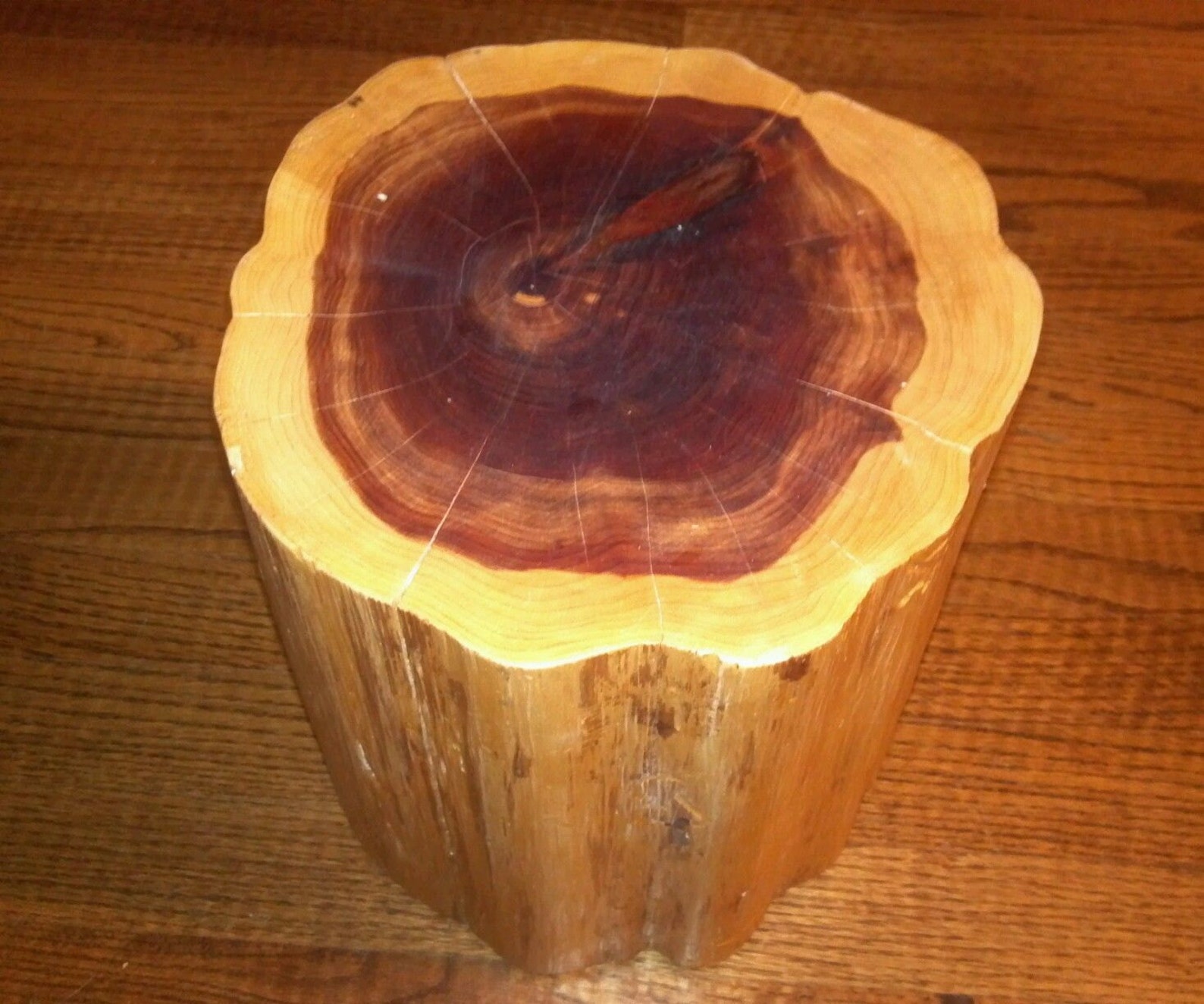 Red Cedar Stump Stool Table Photo Prop Plant Stand 9 | Etsy