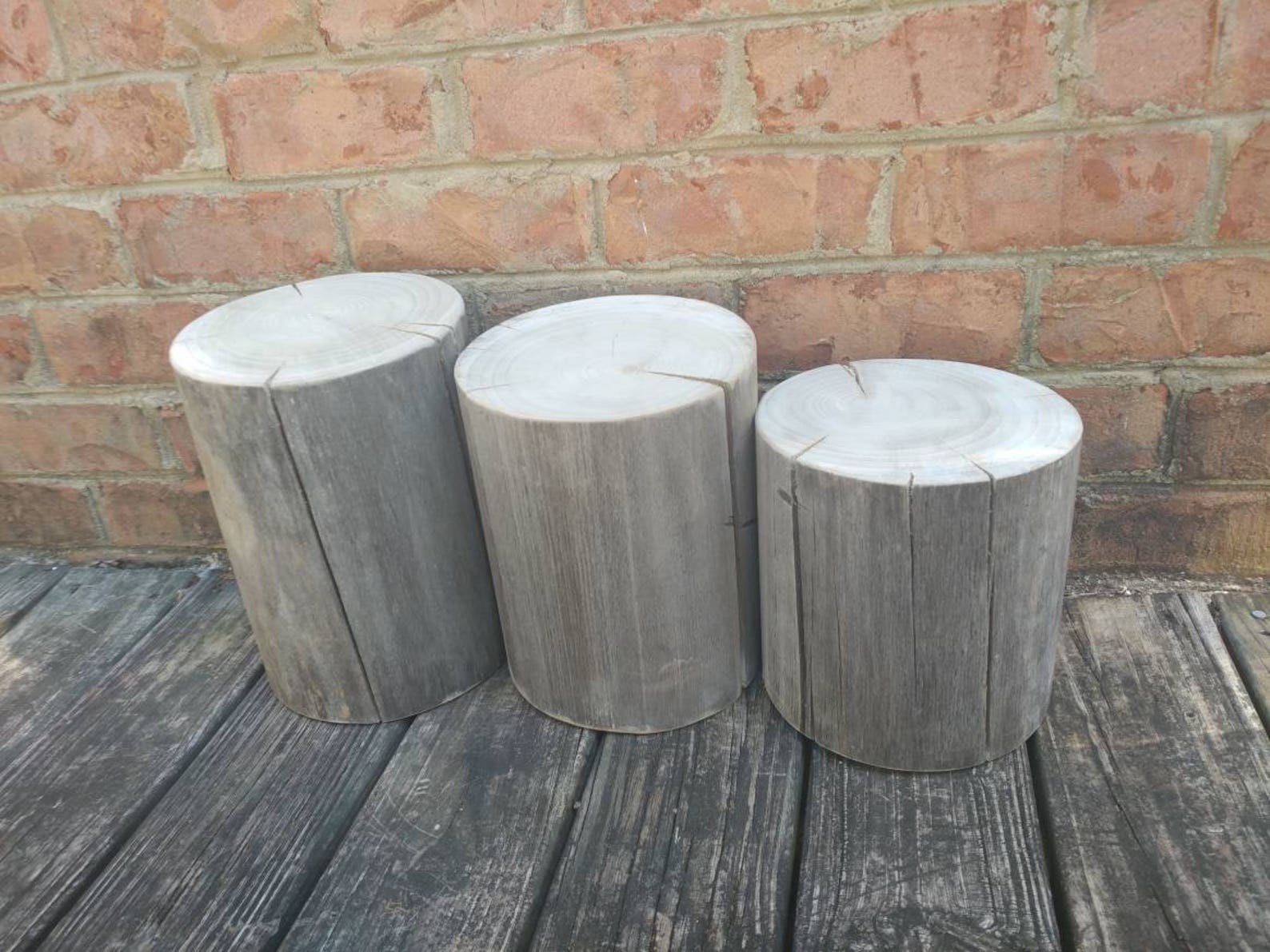 Gray Stump Trio Arrangement | Etsy