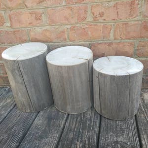 Gray Stump Trio Arrangement - Etsy