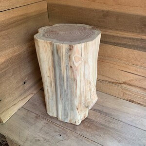 Large Rustic Western Red Cedar Stump Stool - Etsy