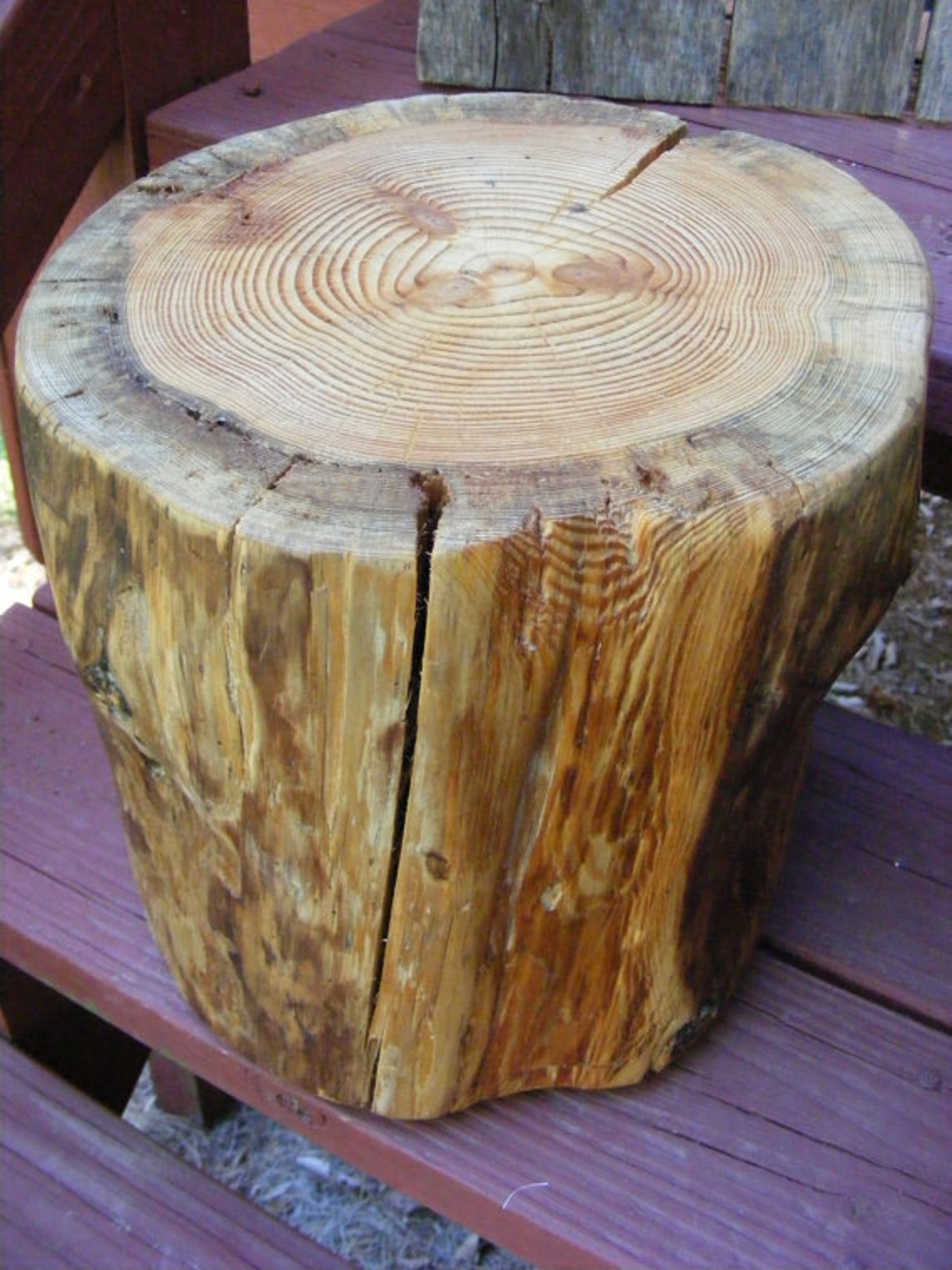 Pine Stump Stool Table Photo Prop Plant Stand 9" - 10" Diameter - Etsy