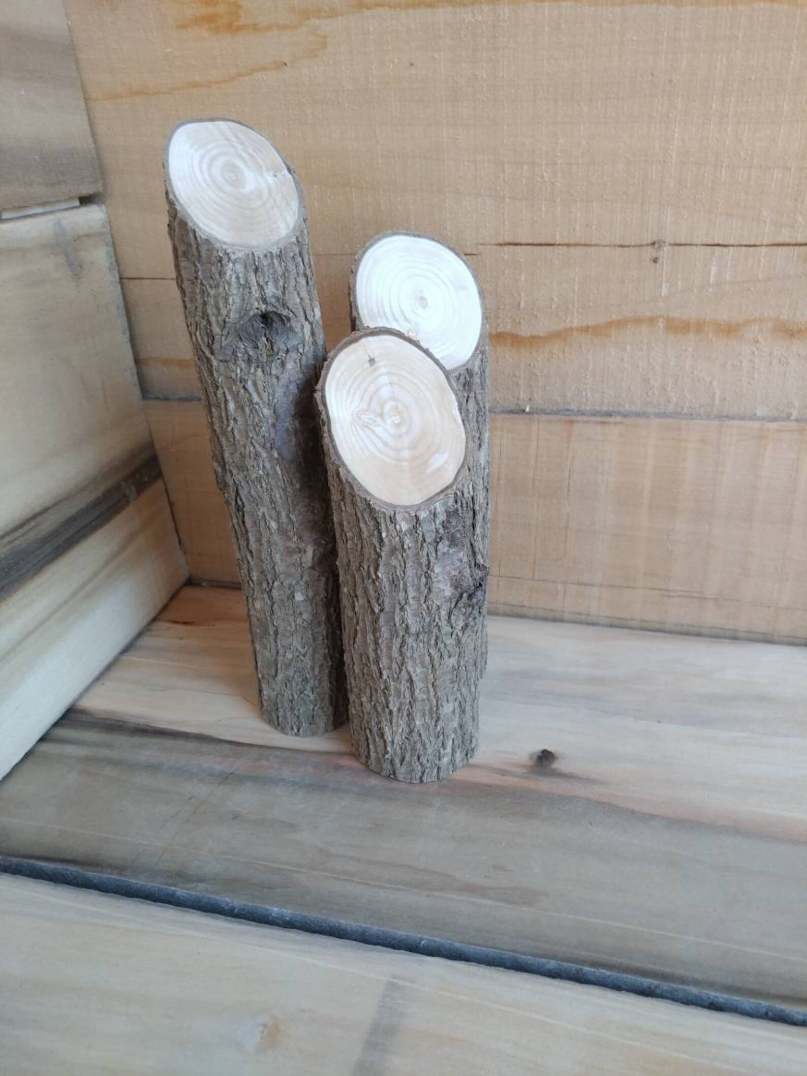 Tree Branch Trio Shelf Decor | Etsy