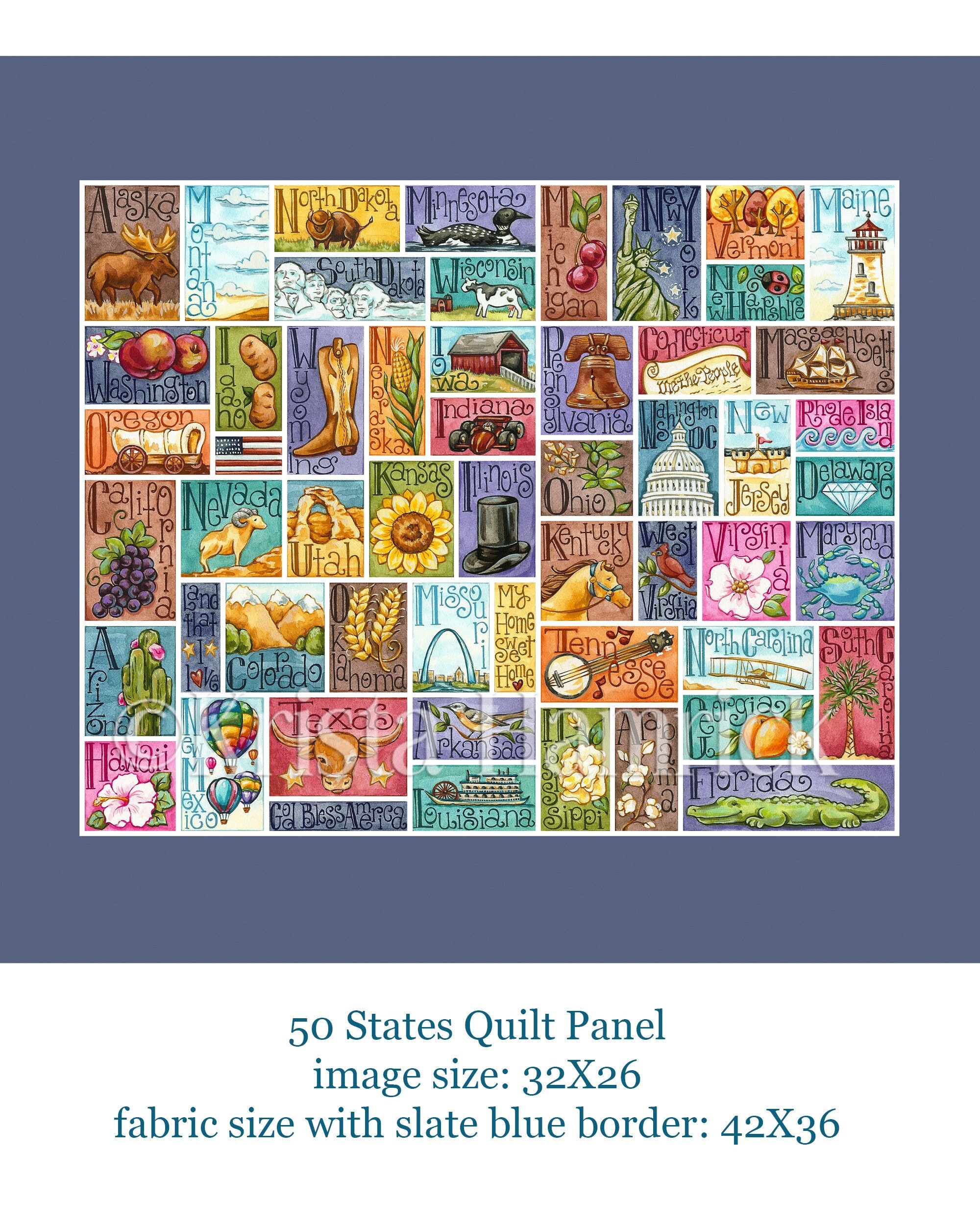 FABRIC PANEL 50 States Cotton Quilt Fabric Panel Overall - Etsy