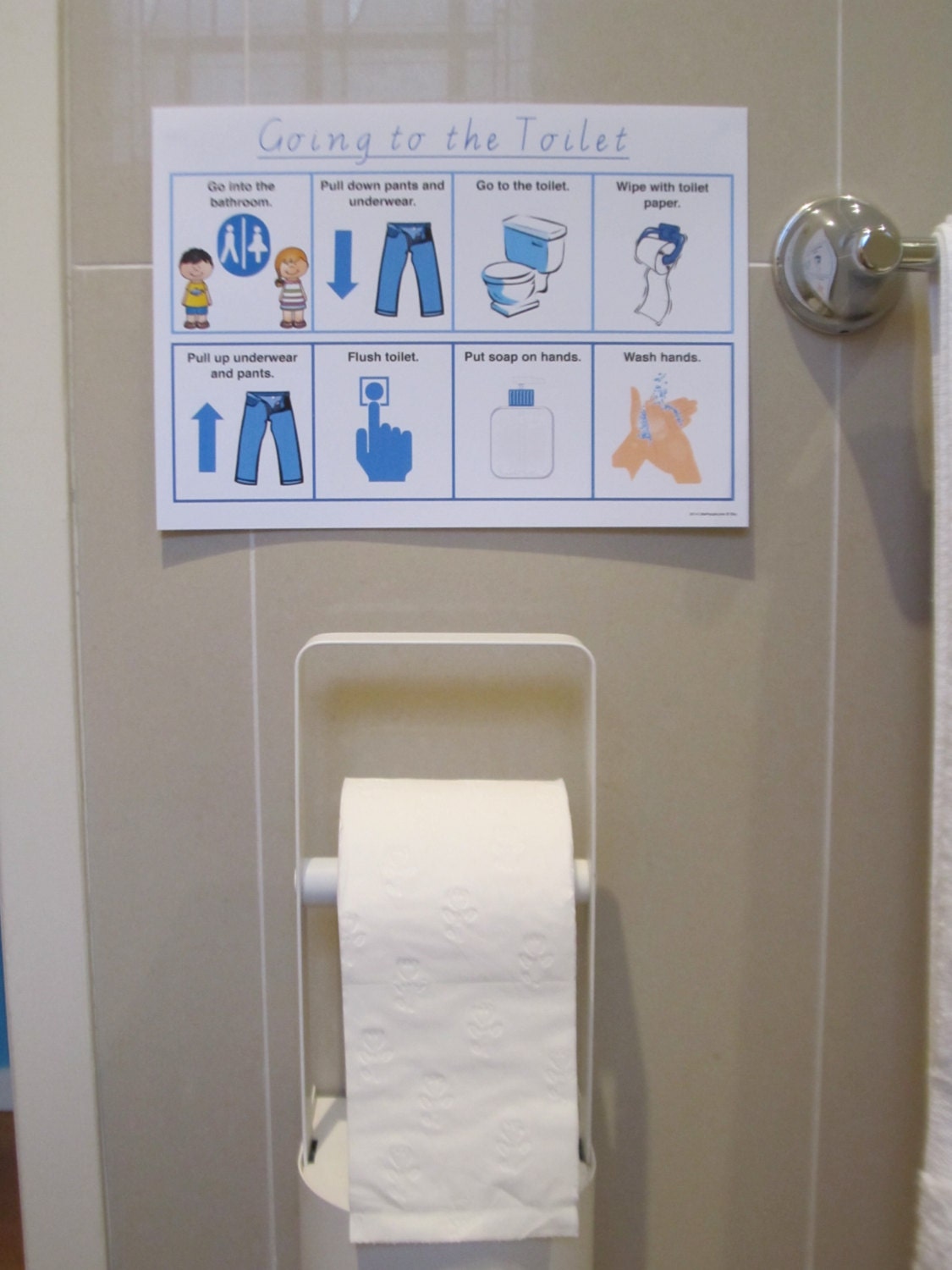 Going to the Toilet Instructional Poster - Etsy
