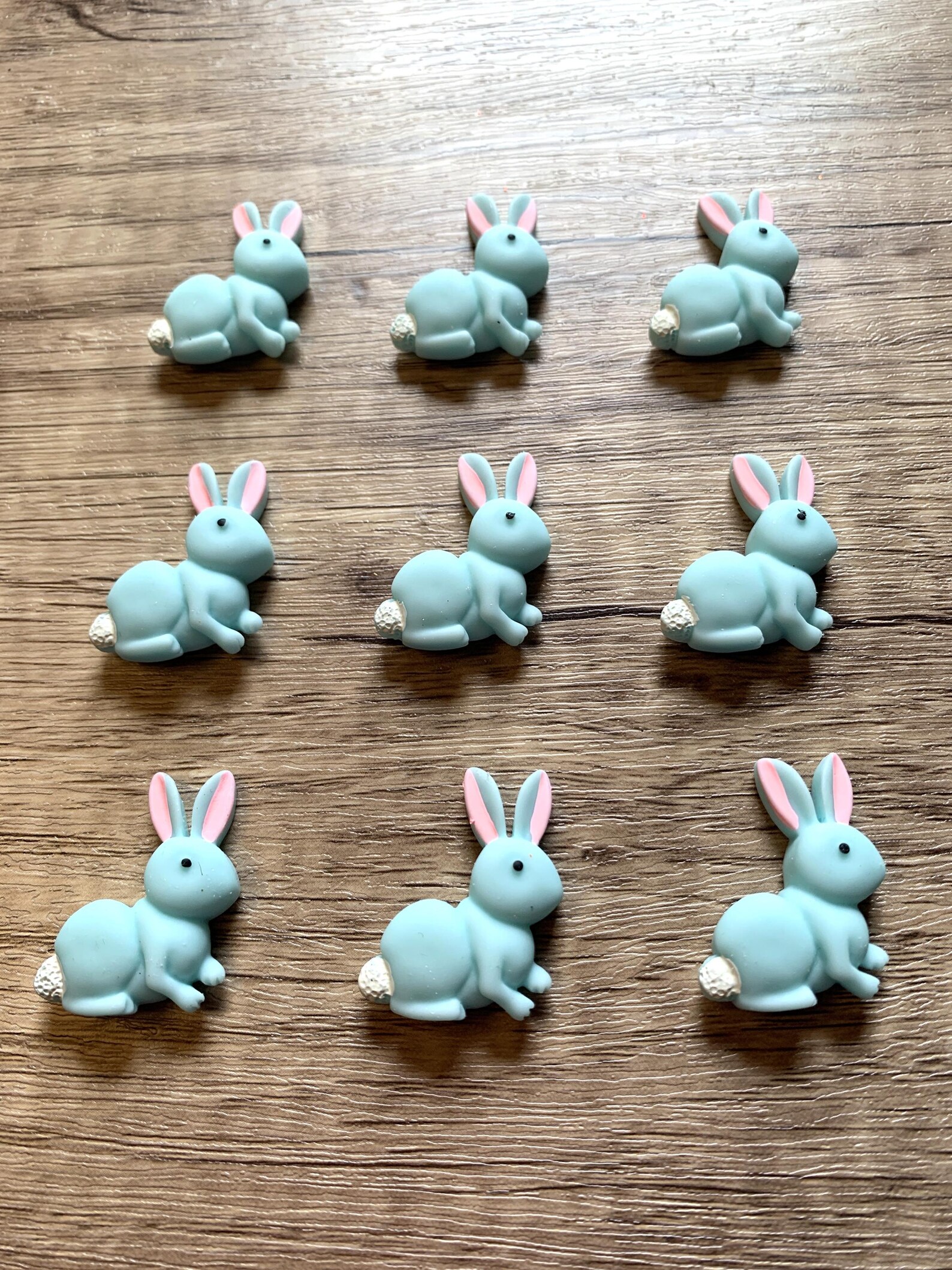 Nine Blue Bunny Rabbit Magnets - Strong Rare Earth Magnets - Animal ...