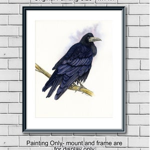Realistic Rook, Corvid, an ORIGINAL Line and Watercolour Painting ...