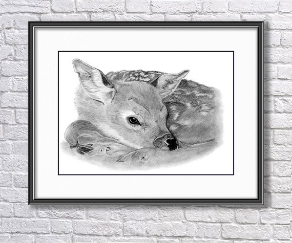Art & Collectibles ORIGINAL drawing Fallow deer Pen & Ink etna.com.pe