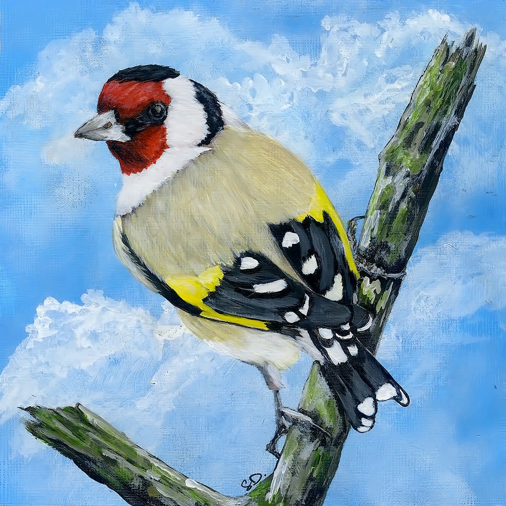 Original Goldfinch Painting Original Art Original Wild Bird - Etsy UK