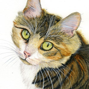 Tabby Cat Notecards, A Pack of 5 Folded Notecards With Envelopes. From ...