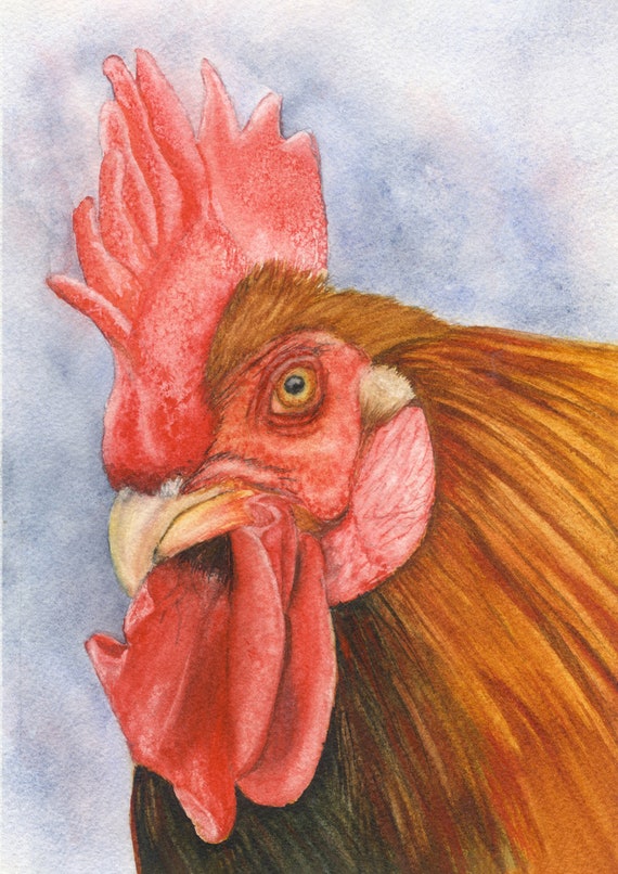 Road Island Red Rooster Drawing
