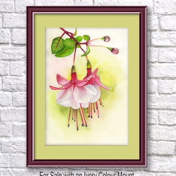 Fuchsia Painting - Etsy
