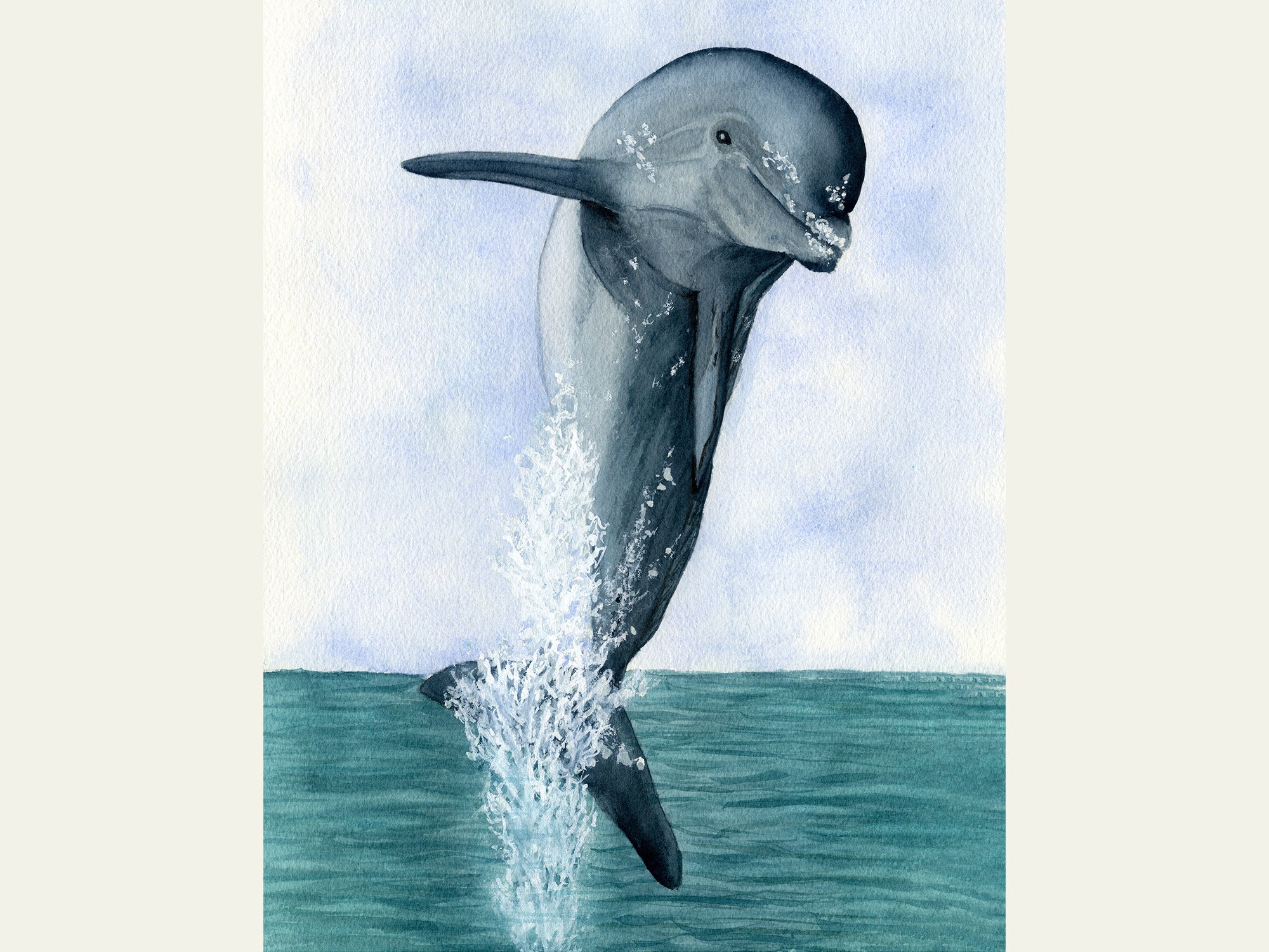 Dolphin Jumping Drawing