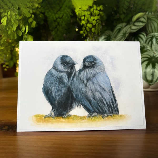 Jackdaw - Etsy