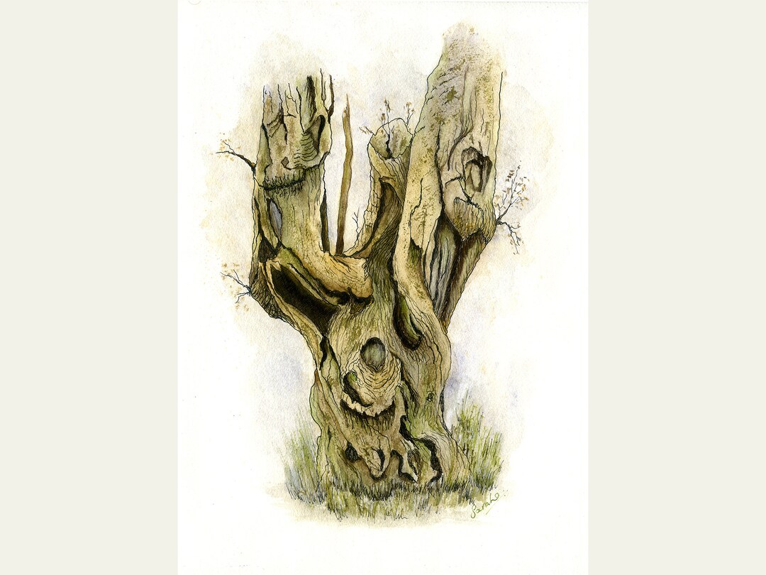 Old Gnarly Tree Stump Line and Watercolour Wash Landscape, AN ORIGINAL ...